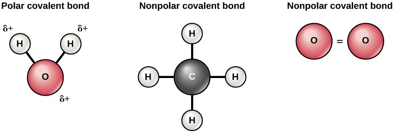Covalent Bonds Open Textbooks For Hong Kong